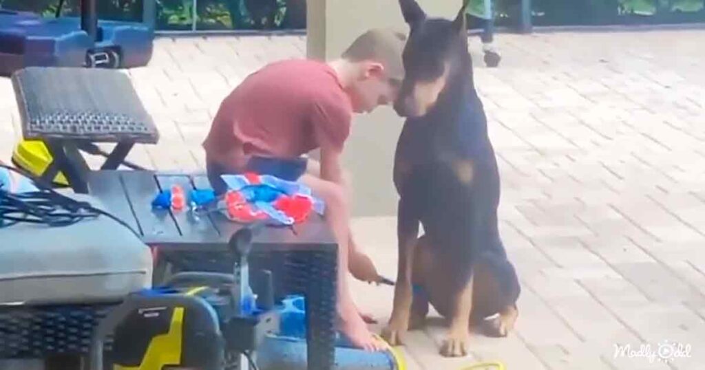 Dad secretly records future vet and his patient - Healtimart.com