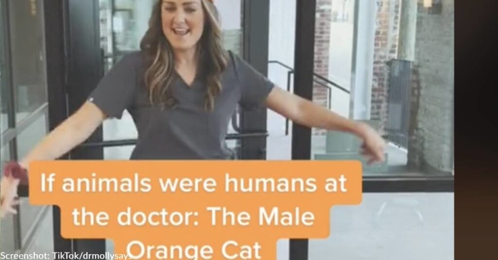 Veterinarian Goes Viral For Videos Of “If Animals Were Humans At The ...