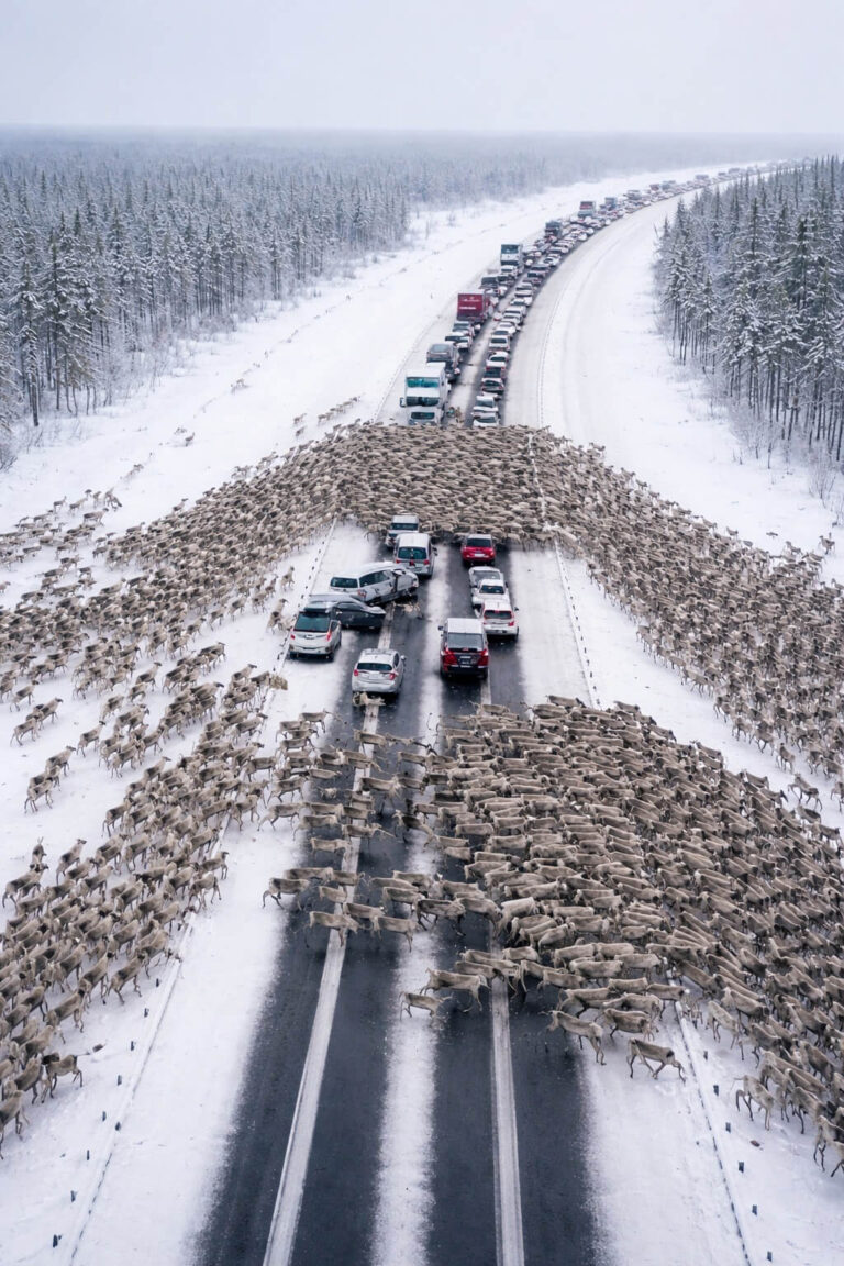 My Husband Called My Pregnant Neighbor a “Burden”—A Month Later She ...